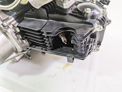 2021 Kawasaki Z125 Pro Running Engine Motor + Throttle Body - Video ...