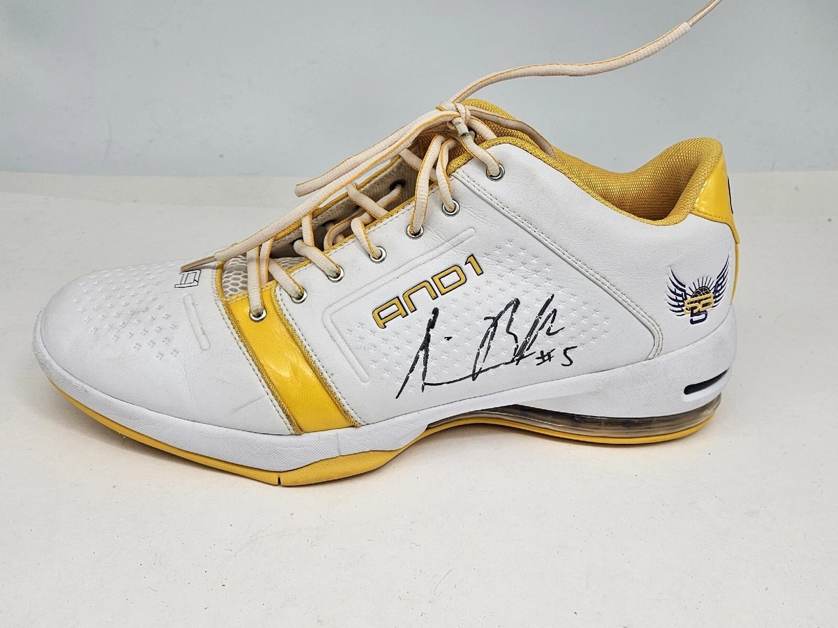 Steve Blake Warriors Shoes