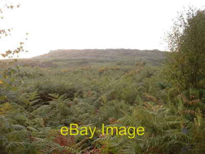 Photo 6x4 Bracken slopes Dinmael This hill 322 metres high is not named ...