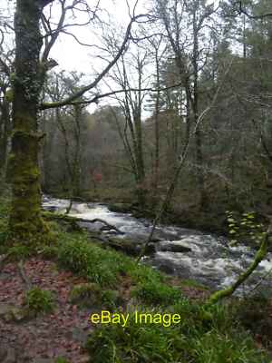 Photo 12x8 River Erme in Pithill Wood Ivybridge/SX6356 c2021 | eBay UK