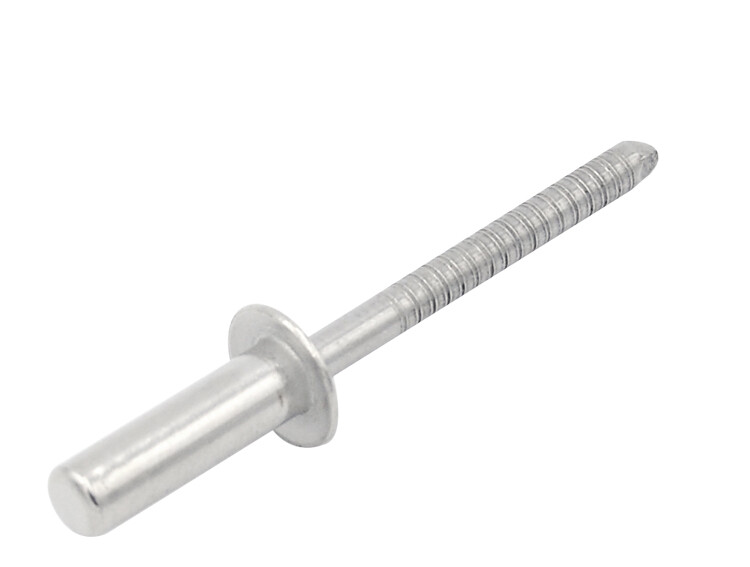 100pcs Stainless Steel Round Head Closed End Blind Sealed Hollow Blind ...