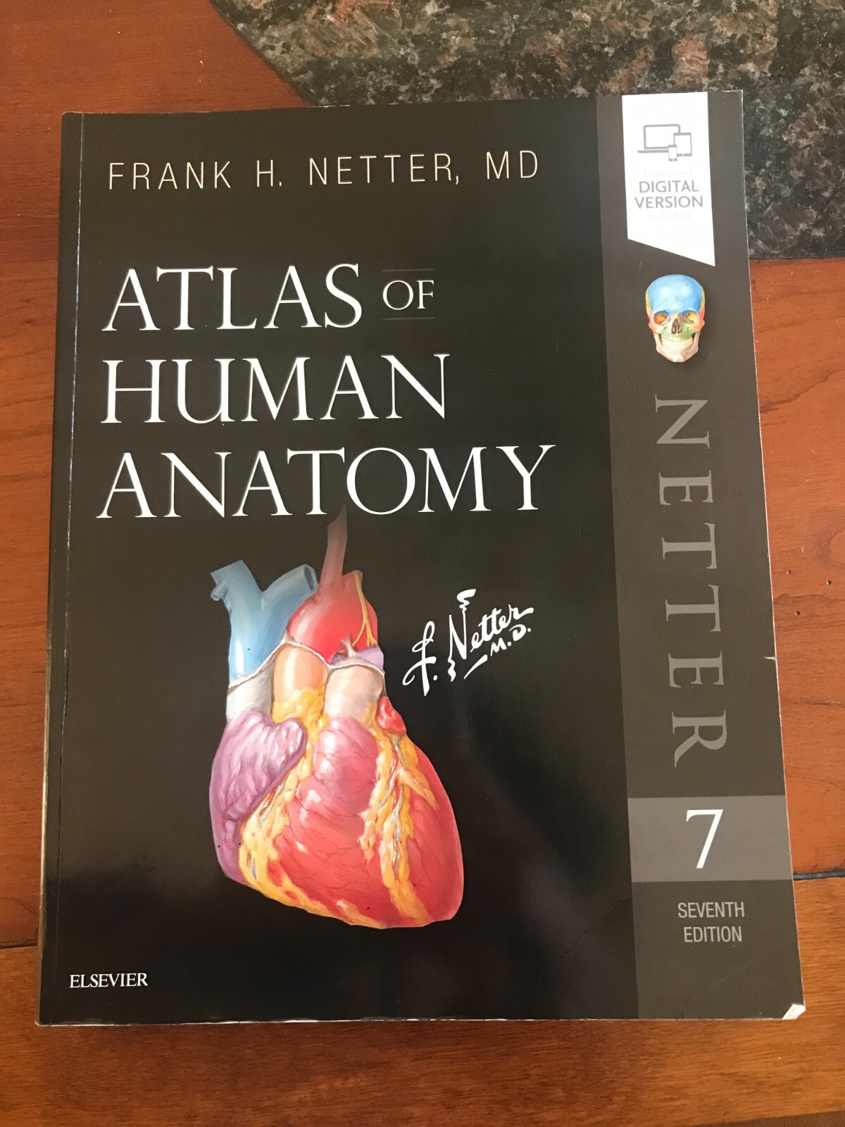 Atlas of Human Anatomy 7th Edition by Netter (English) Paperback Book ...