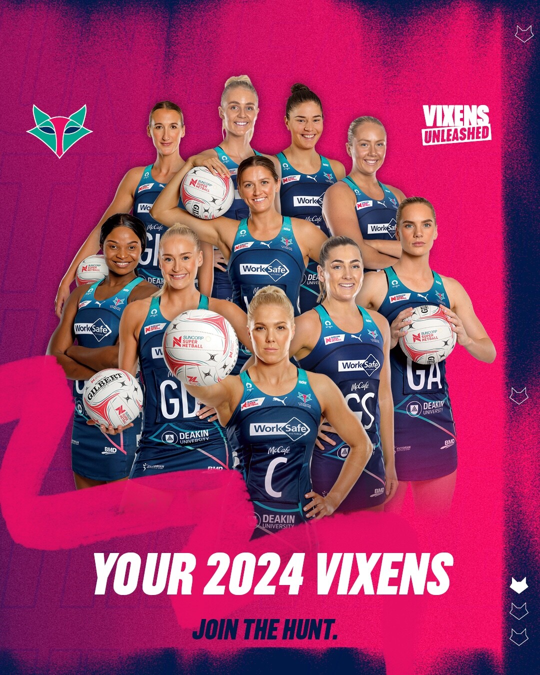 MELBOURNE VIXENS Netball TEAM POSTER,BARGAIN CHAMPIONS, Premiers 1 | eBay