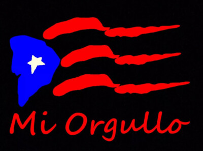 PUERTO RICO CAR DECAL STICKER MI ORGULLO FLAG Laptop Truck | eBay