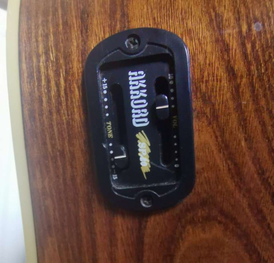 Hohner 12 String Acoustic Electric Guitar | eBay UK