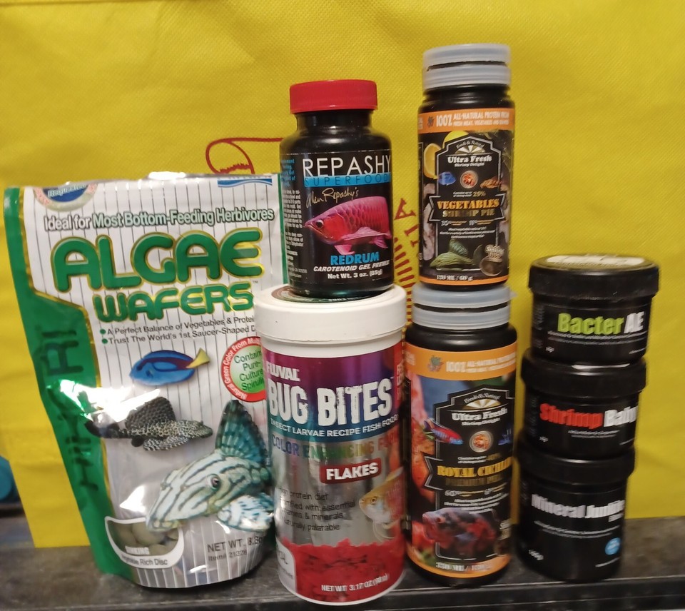 Live Pink CRAYFISH Breeding Pair. Sakura 2.25+inch.Super Rare(P.Clarkii ...