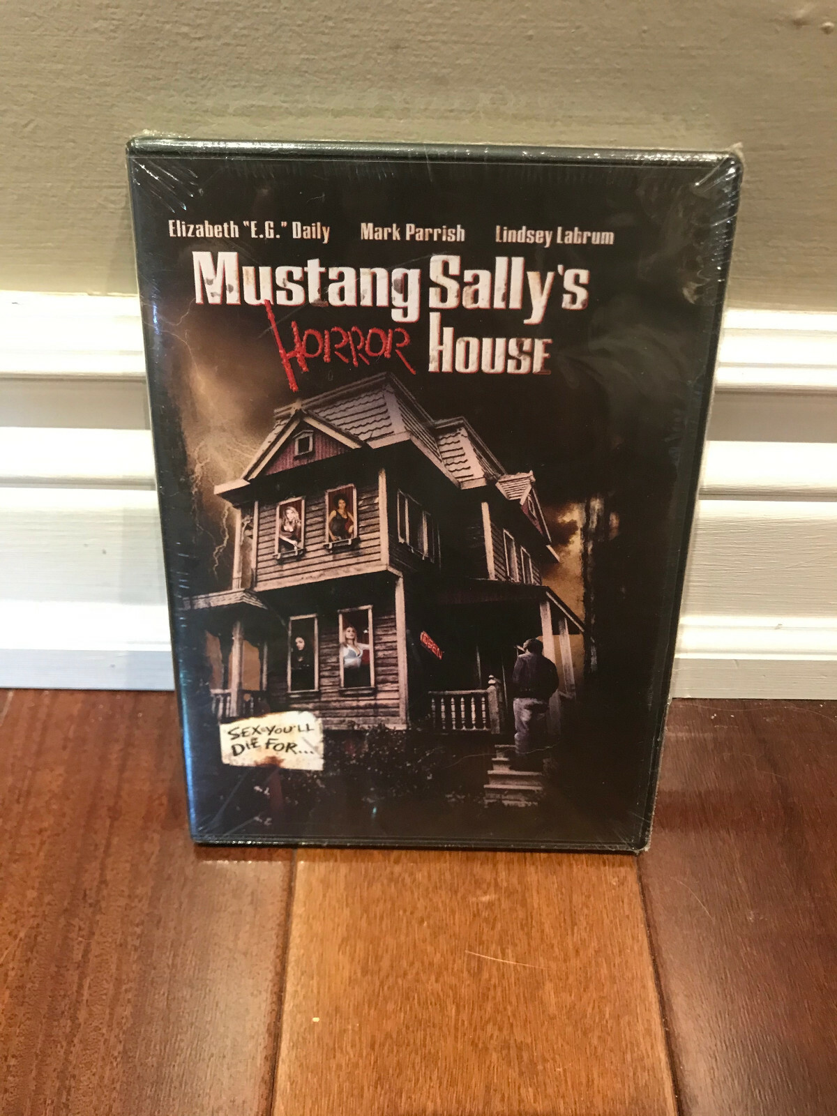 Mustang Sally's Horror House (DVD) Lindsey Labrum, BRAND NEW! | eBay