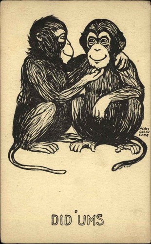 Percy Colin Cara 1910 Postcard Chimpanzee Chimps Romance | eBay