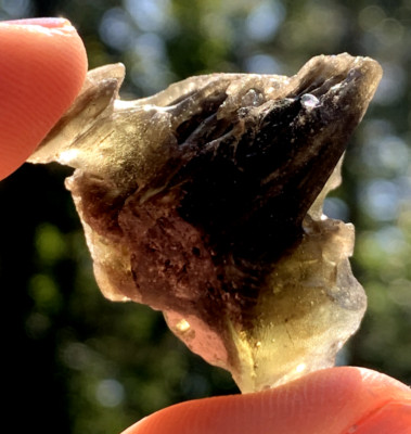 VERY RARE AAA TRANSLUSCENT DARWINITE AUSTRALIAN TEKTITE HEART ...