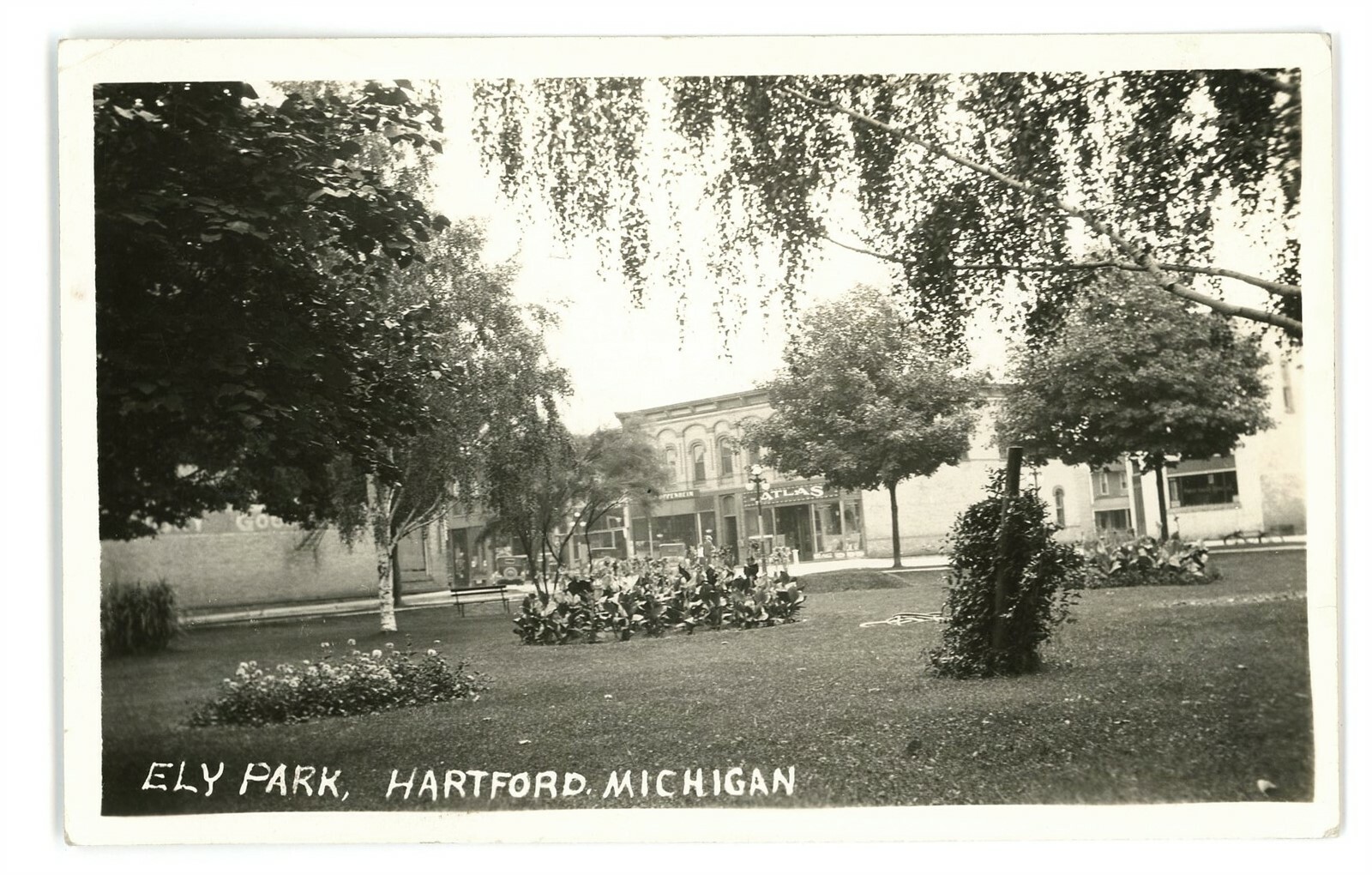 RPPC Ely Park, Downtown HARTFORD MI Michigan Real Photo Postcard | eBay