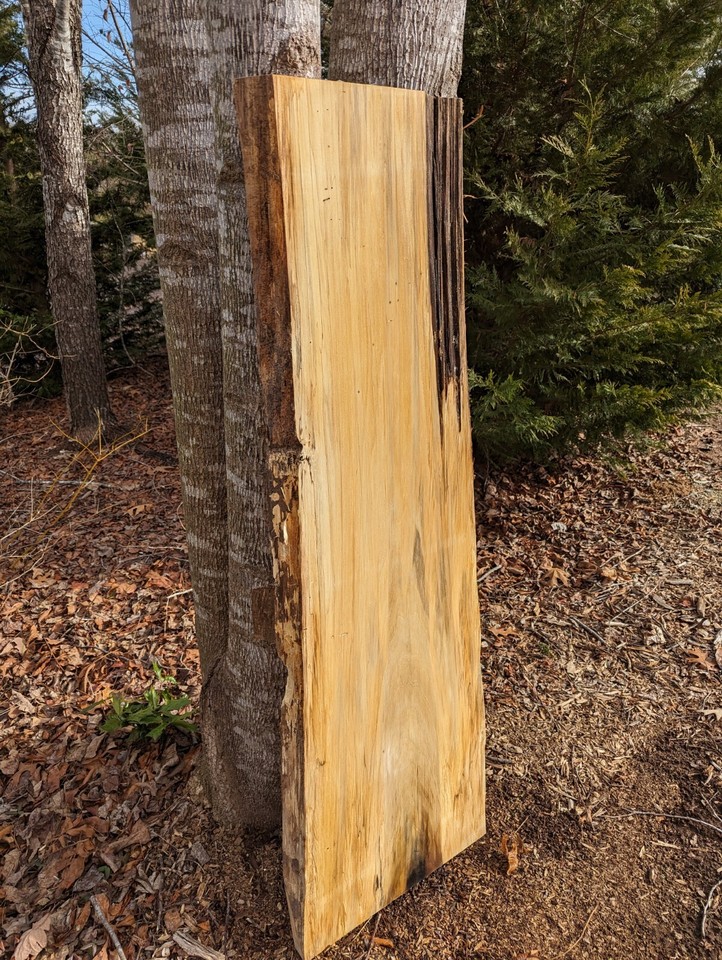 Tulip Poplar (Rainbow) slab (Live Edge) Spalted. Wide Slab, Great ...