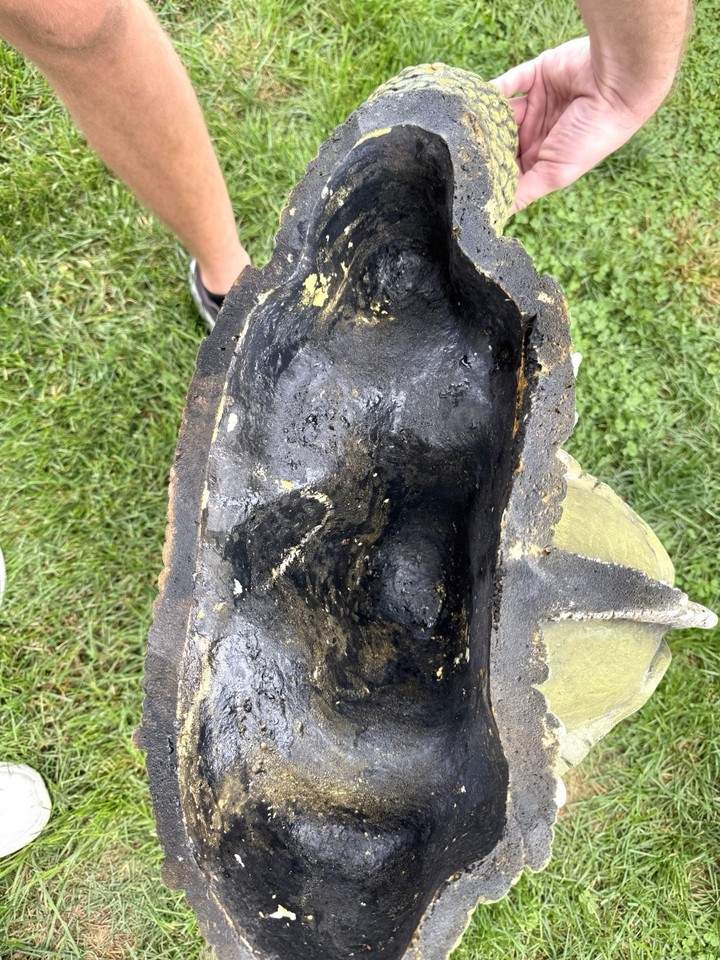 Vintage Universal Monsters Grave Walker Creature From The Black Lagoon ...