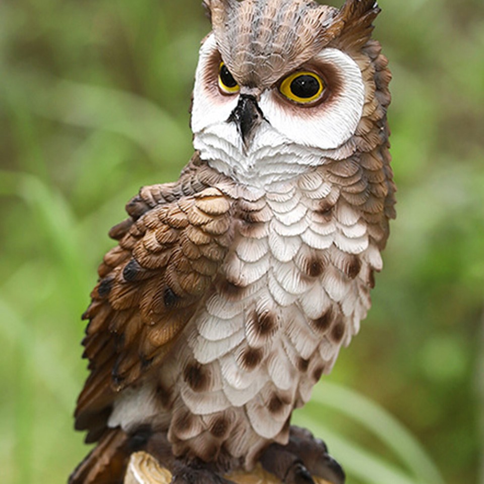 Resin Owl Statue Owl Figurine Home Decor Lucky Owl Craft for Living ...