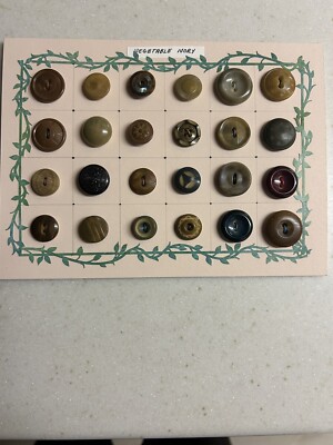 VINTAGE VEGETABLE IVORY BUTTONS | eBay