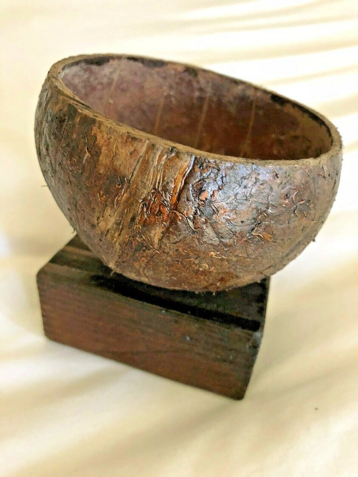 Natural Coconut Shell Home Decoration,HAND PAINTED, Candle Holder | eBay