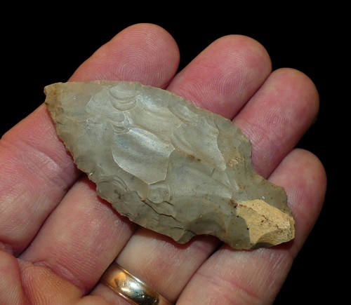 TURKEY TAIL KENTUCKY HORNSTONE AUTHENTIC INDIAN ARROWHEAD ARTIFACT ...