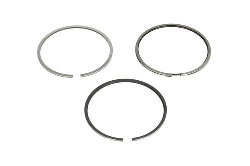 Piston Ring Kit MAHLE 029 54 N0 | eBay