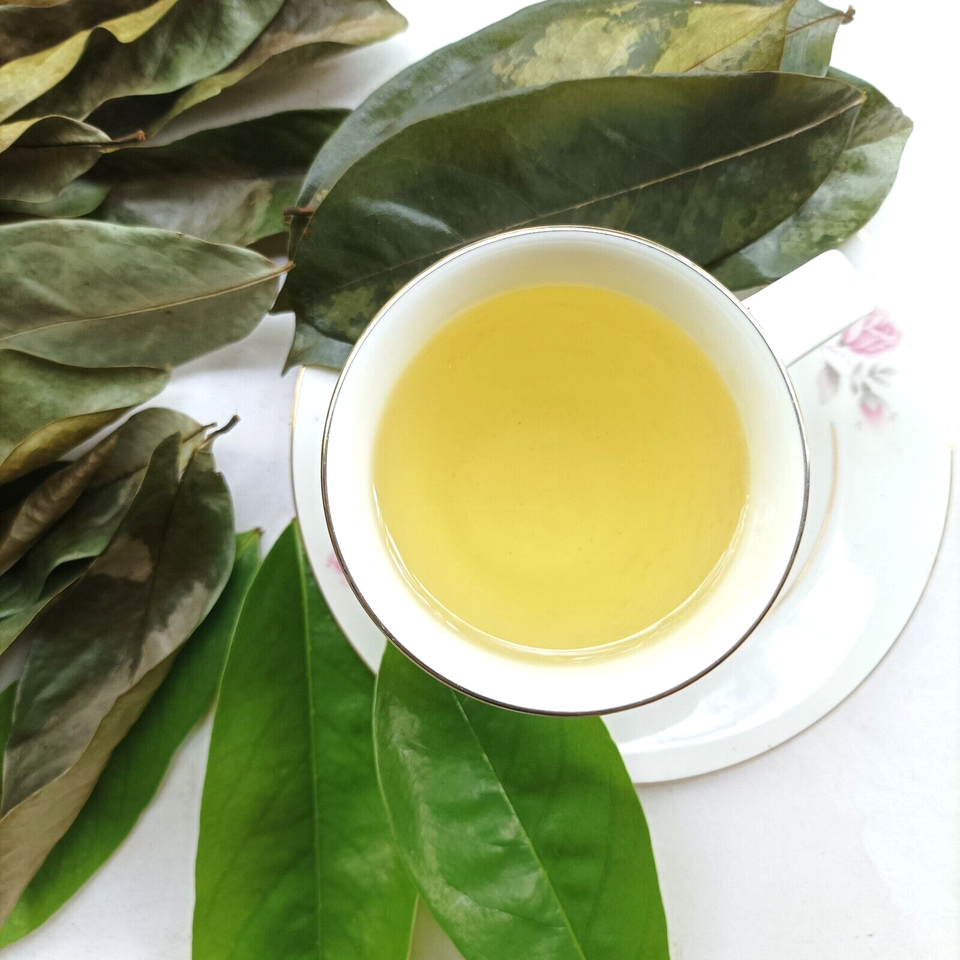 Dried Soursop Organic Natural Tea Leaves Graviola Hojas Guanabana ...
