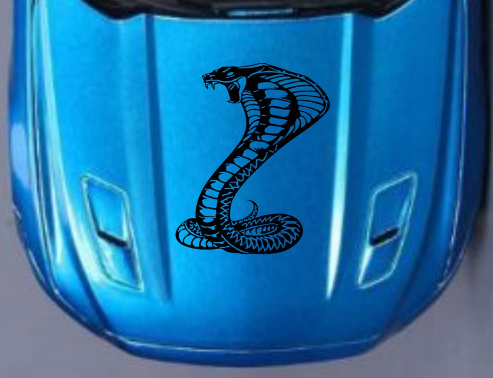 QUALITY Cobra Snake Hood vinyl Decal Sticker 35.75" (Fits Ford MUSTANG ...