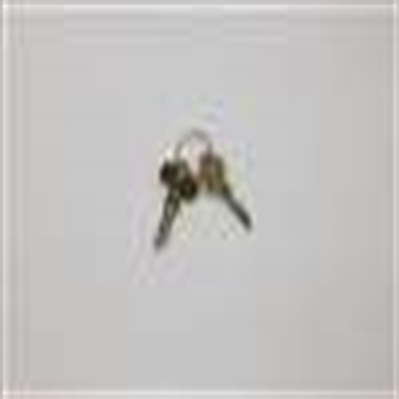 Genuine Ariens Zero Turn Mower Ignition Key Set Part# 21510400 | eBay