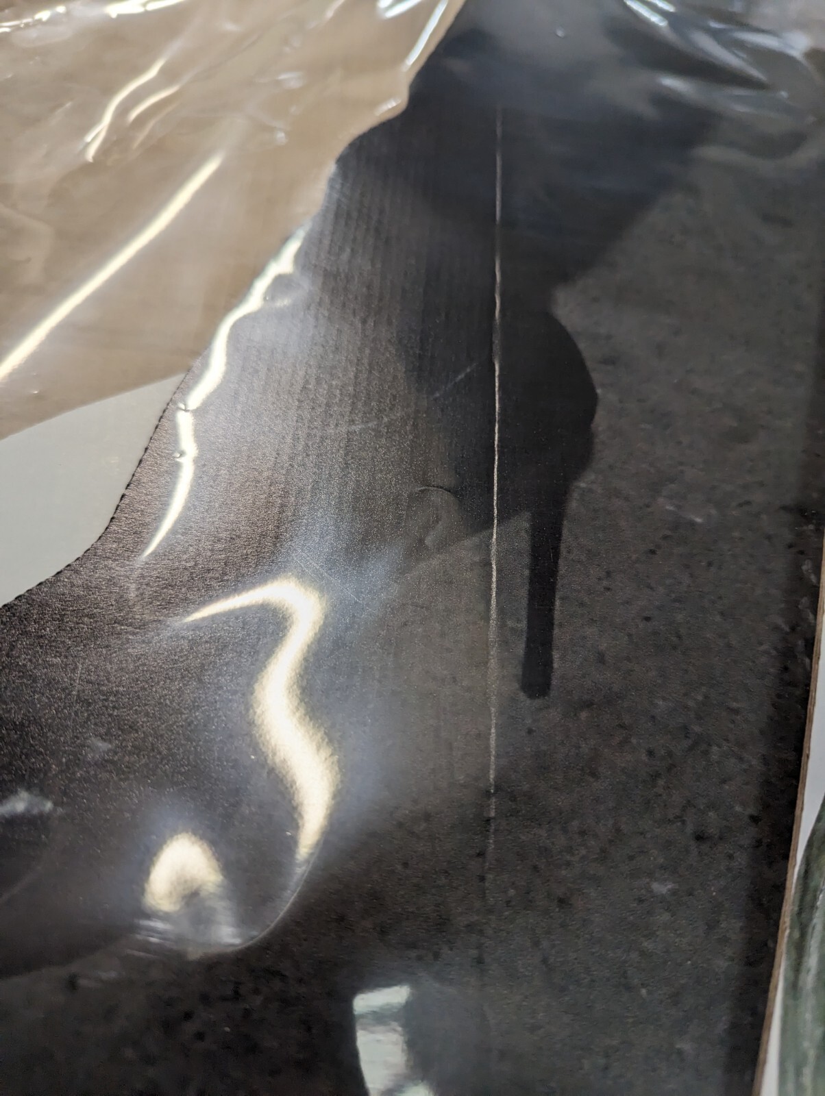 Bella Thorne Celebrity Lifesize Cardboard Cutout / Standee *Damaged ...