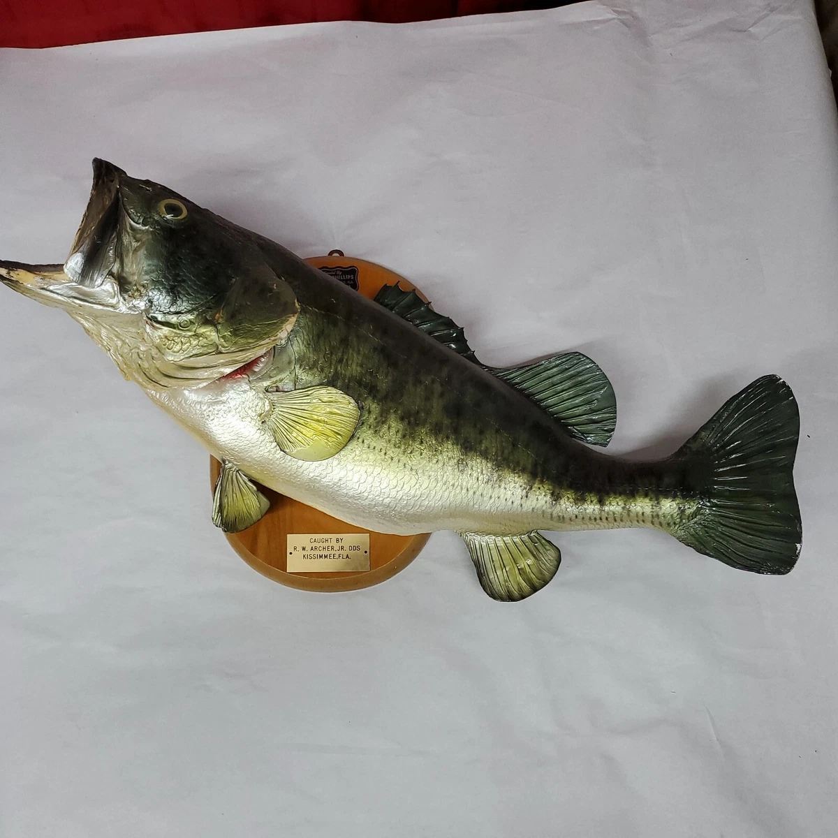 Largemouth Bass Mounts