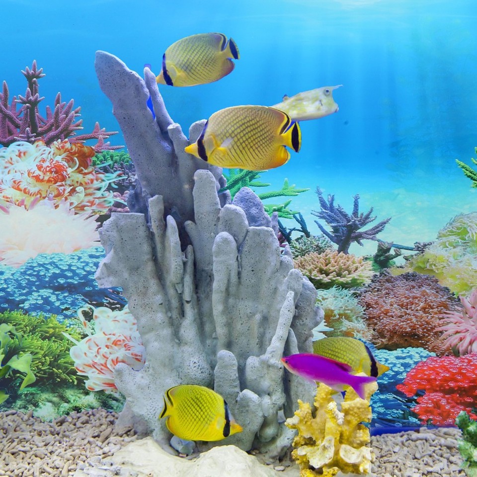 Vinyl Fish Tank Background Aquarium Background Aquatic Plant River Bed ...