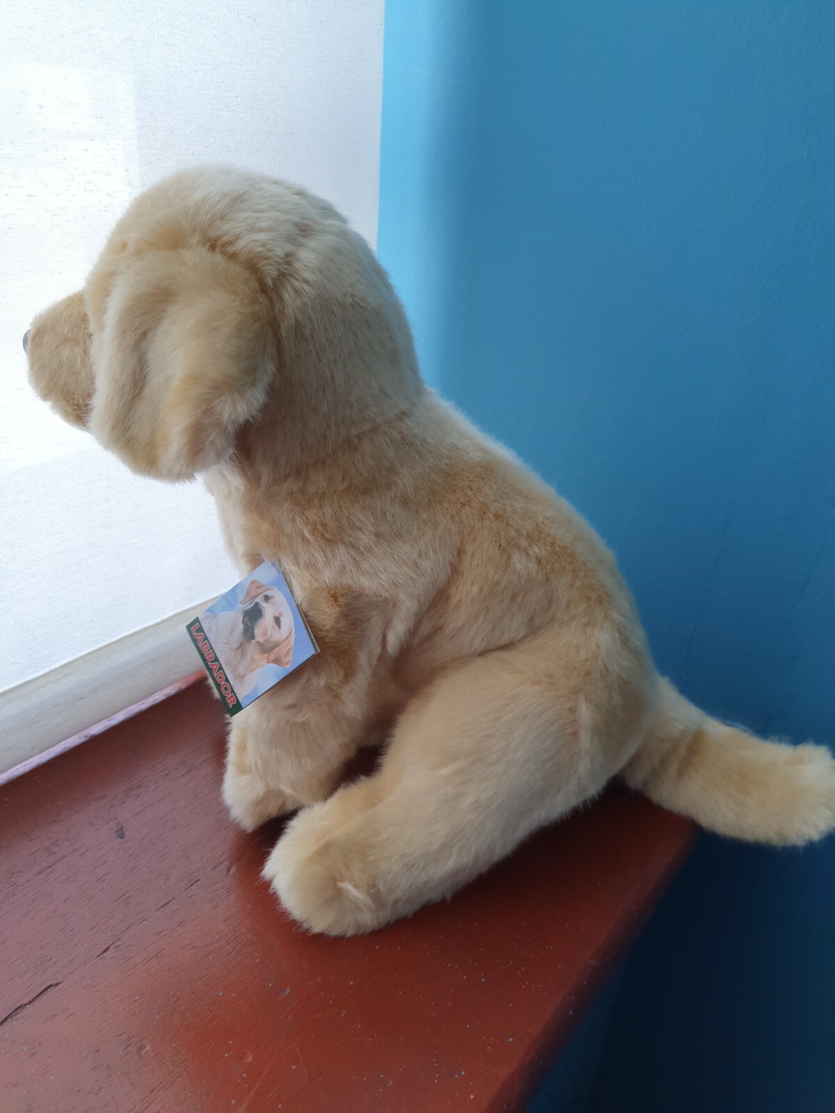 12" Yellow Labrador teddy LABRADORS soft toys dogs plush toy dog ...