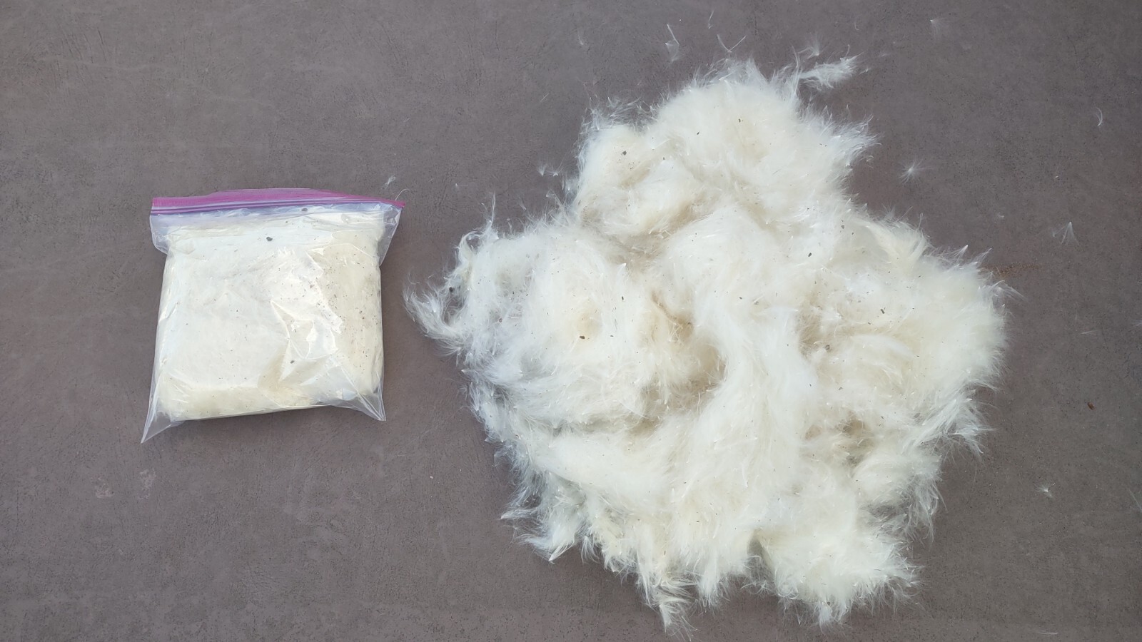 Fluffy Milkweed Floss, Organic - Natural Stuffing, Wind Direction for ...