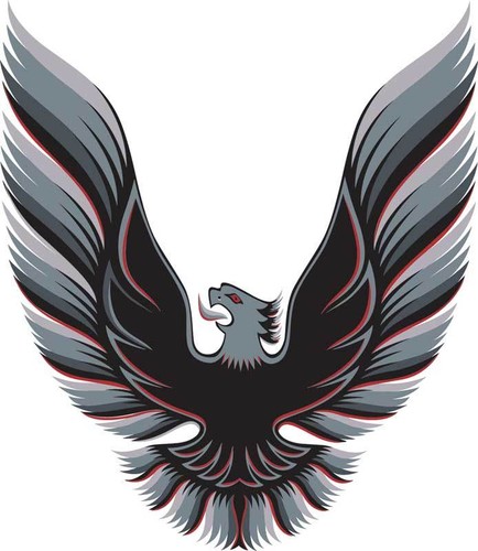 1978 - 81 TRANS AM COMPLETE DECAL KIT W/ 1 Pc HOOD BIRD - RED - GM ...