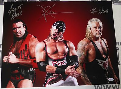 X-Pac Scott Hall Kevin Nash Signed WWE 16x20 Photo PSA/DNA COA NWO ...