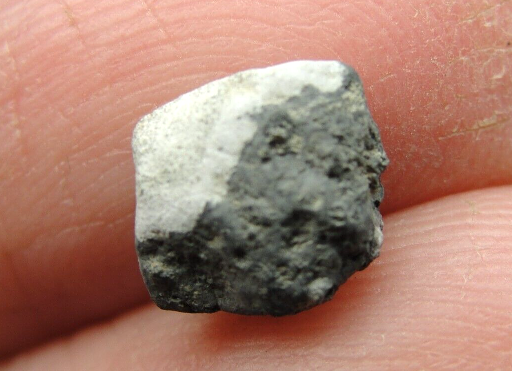 NWA 7479 Carbonaceous CV3 Chondrite Meteorite - G257-0250 - 0.26g - COA ...