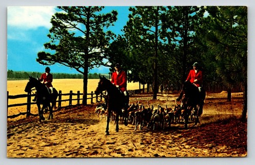Southern Pines North Carolina Fox Hunting With Hounds Postcard | eBay