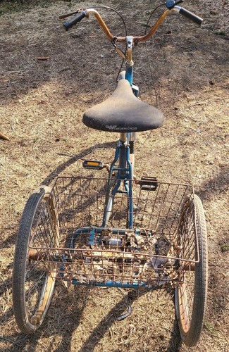 Vintage Worksman Pleasure Cycles 3 Speed Wheel Bicycle Bike Trike | eBay