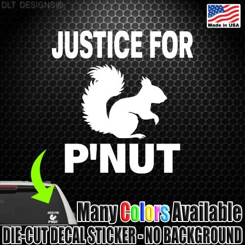 JUSTICE FOR PEANUT The Squirrel Car Window Decal Bumper Sticker Fred ...
