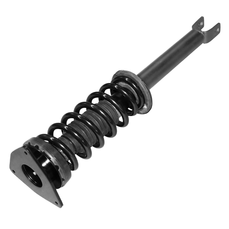 Air Suspension to Spring Suspension Conversion Kit for 2002-2010 Audi ...