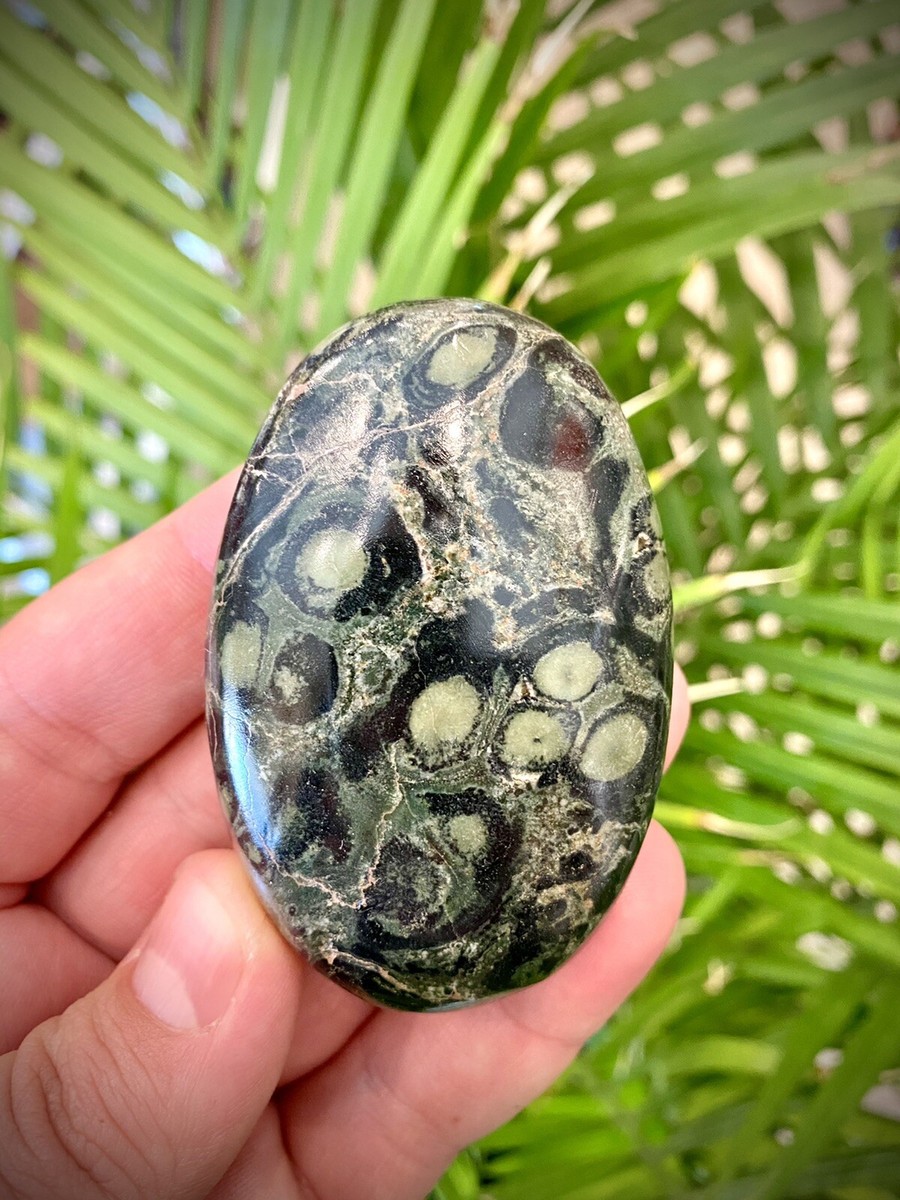 Nebula Stone Kambaba Jasper Or