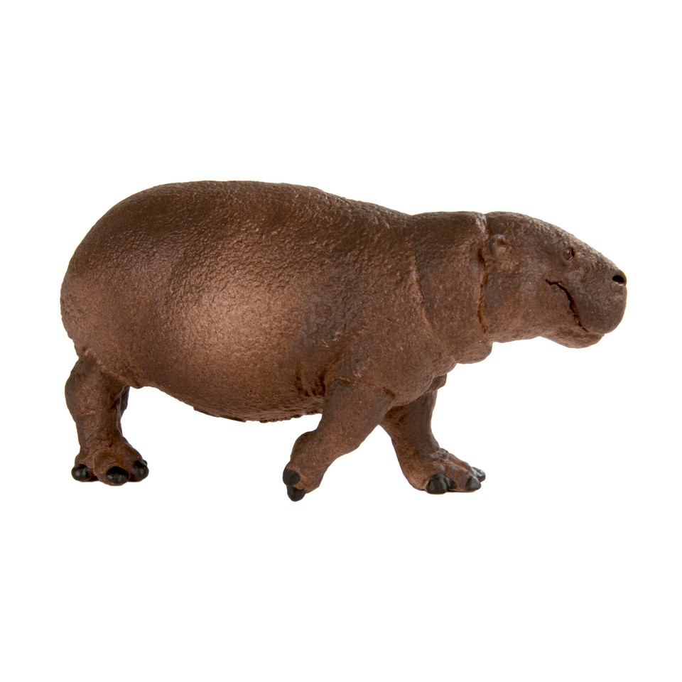 Safari Ltd. | Pygmy Hippo | Wild Safari Wildlife Collection | Toy ...