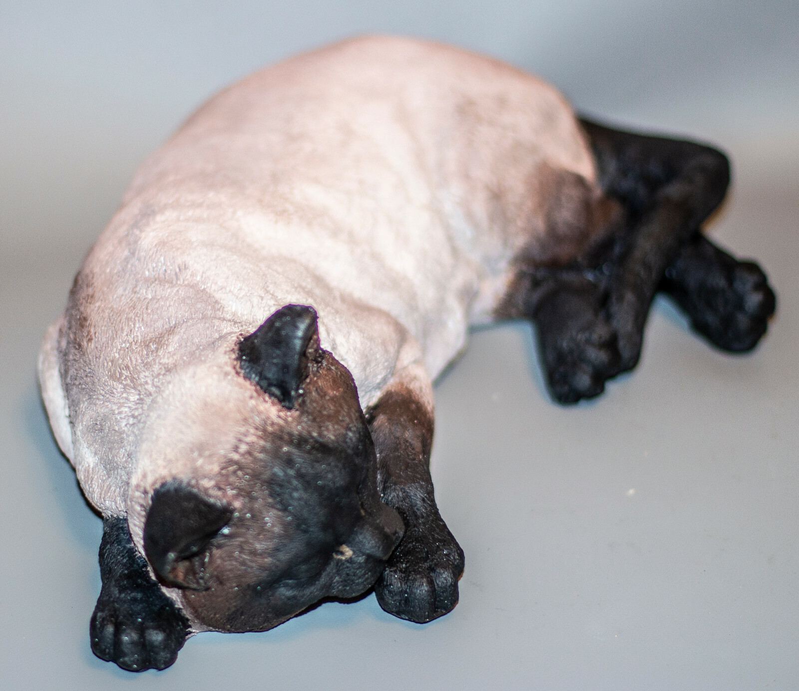 Siamese Cat Urn Pet Ashes Unique Memorial Keepsake Cremation Statue ...