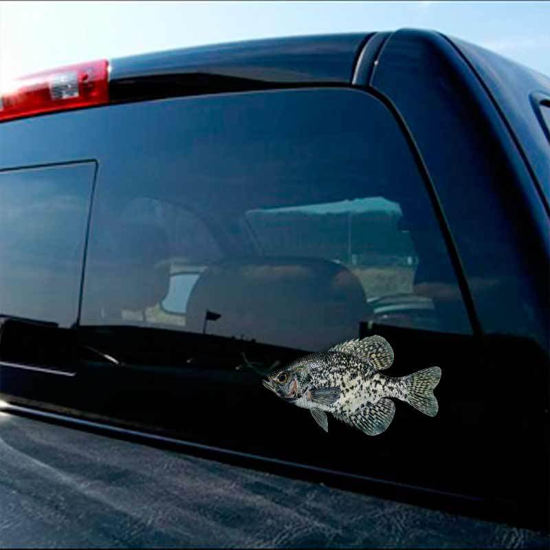 Crappie Sticker Fish Jig Pond Lake Truck Window Boat Tackle Box Fishing ...