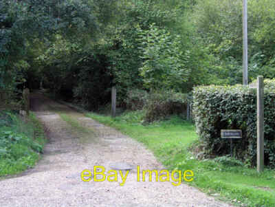 Photo 6x4 Footpath leading to Bridge Farm Alfold Crossways From Knowle ...
