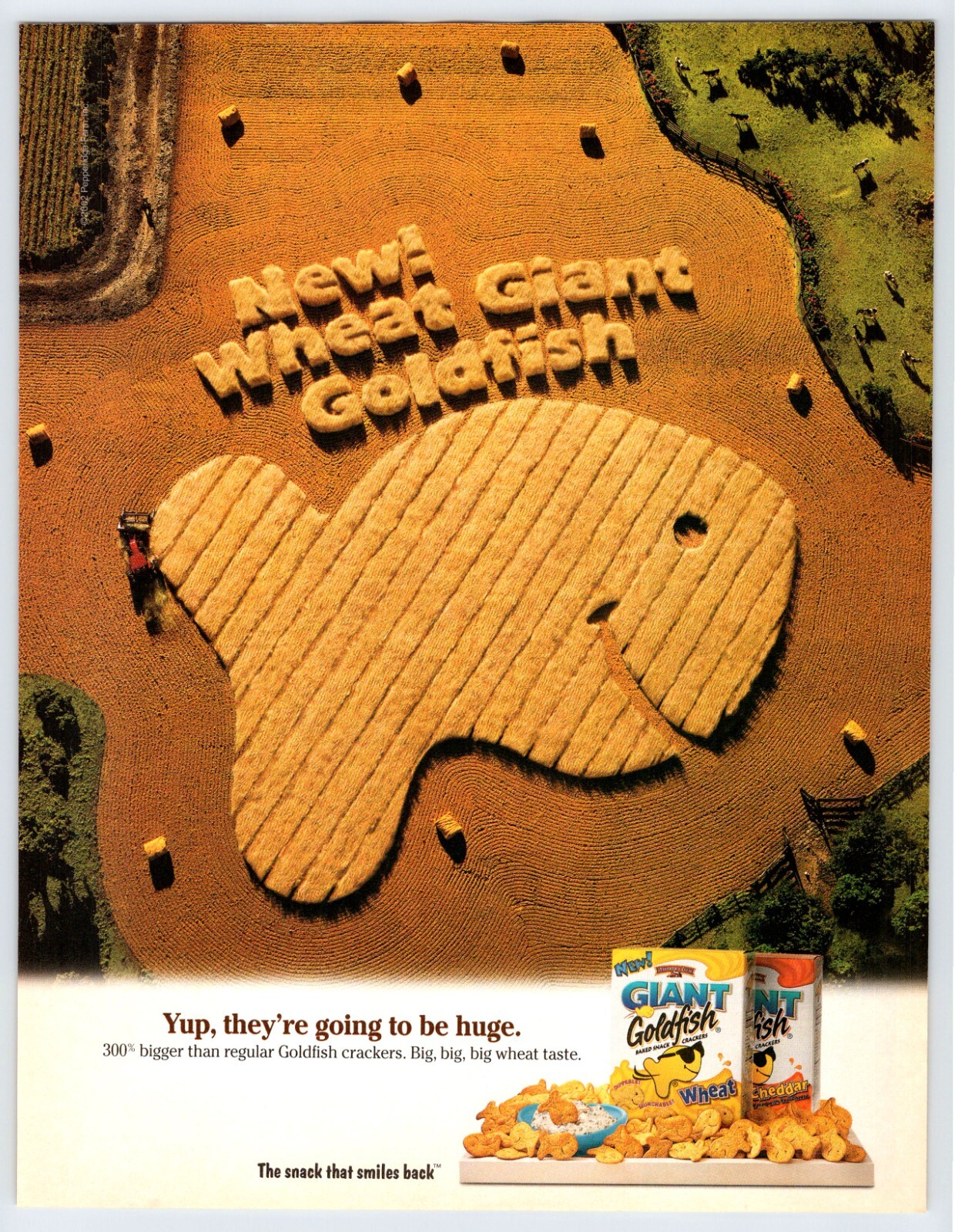 Giant Goldfish Crackers