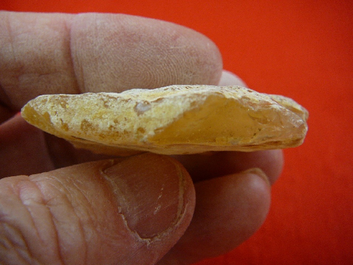 (k-3516) 15 g Rare Kauri tree Gum copal young Amber New Zealand Tane ...