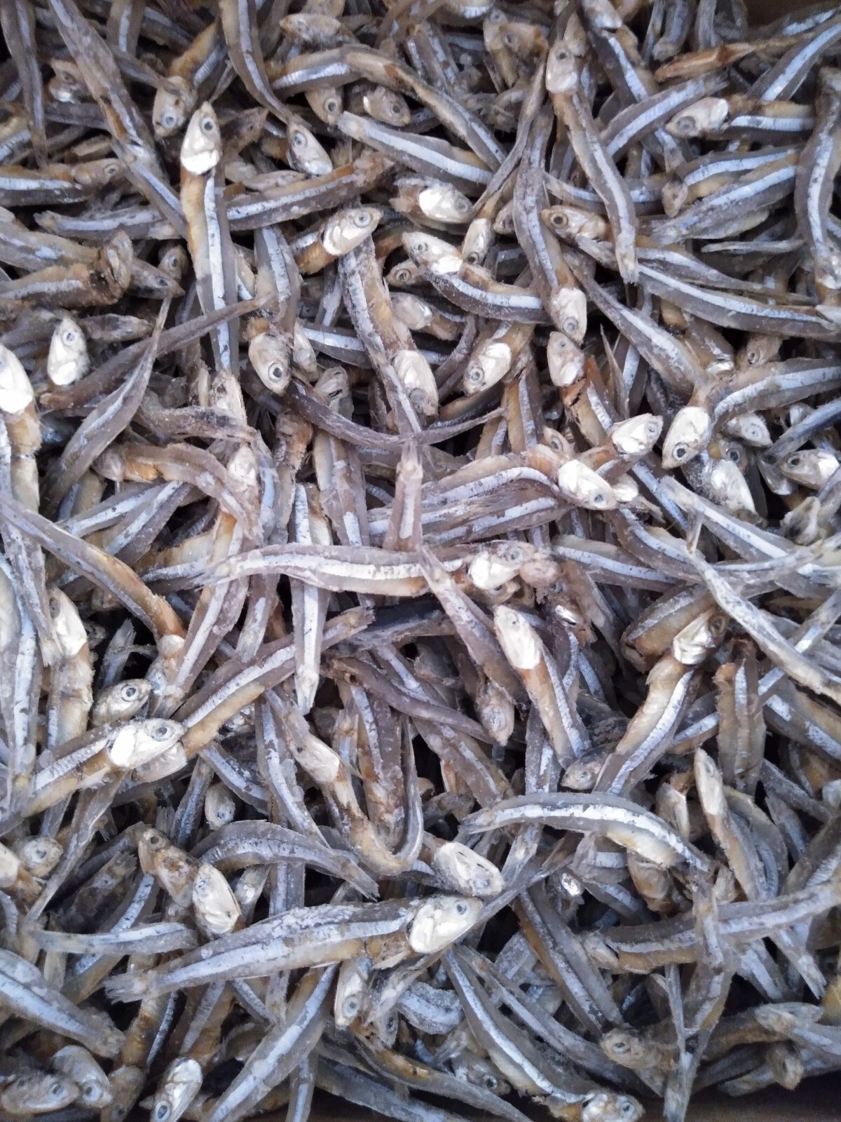 Sprats Dried Fish Halmasso Sun dried Salted Headless Tasty Dry Sea Fish ...