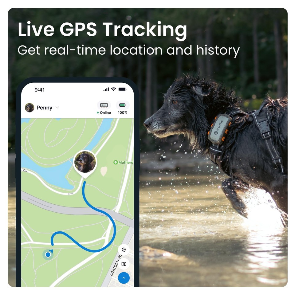 Tractive XL GPS Dog Tracker (50 lbs+) | Real-time Pet Location Tracker ...
