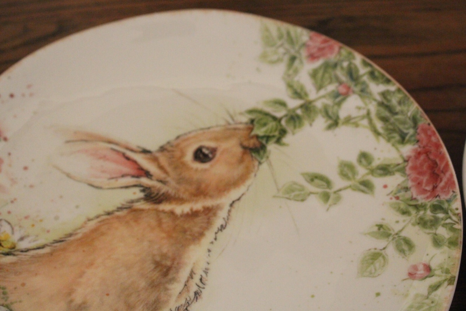 Set of 2 NEW Southern Living Floral Bunny Accent Plates Nibbles | eBay