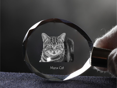 Manx Cat, Cat Crystal Round Keyring, High Quality, Crystal Animals UK ...