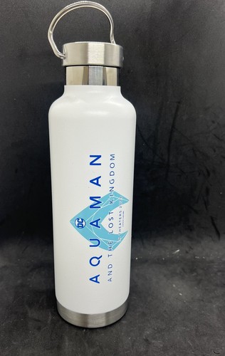 DC Aquaman And The Lost Kingdom Stainless Steel Insulated 24 Oz Bottle ...