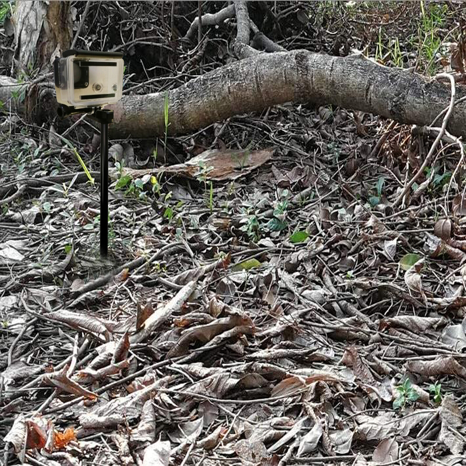 for Gopro Trail Camera Stake Mount | Ground Spike Stick Mount Fits ...