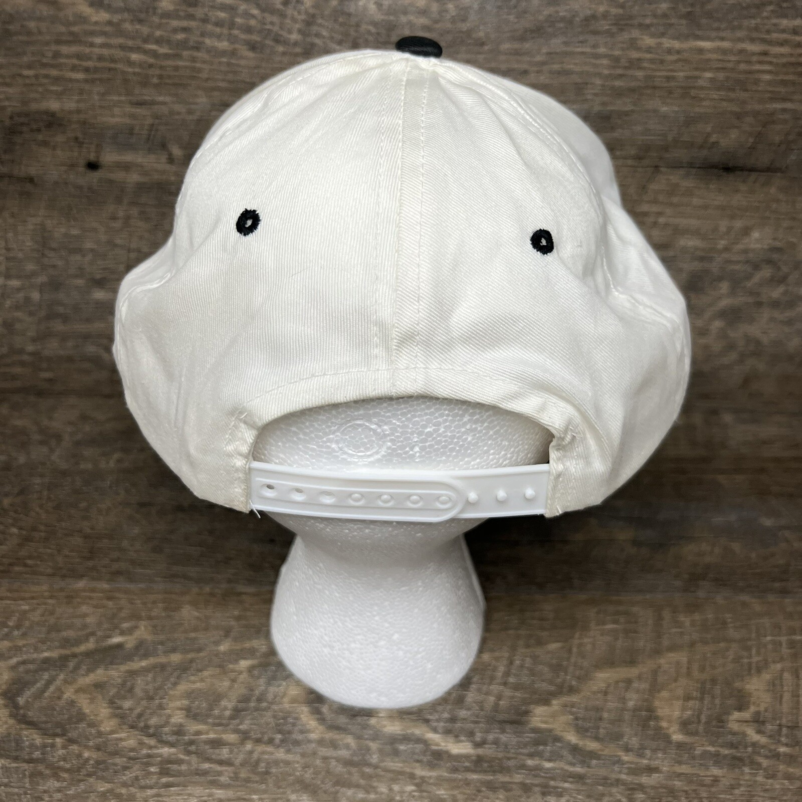 AAQ-24 Nemesis Commemorative Air Force Hat J1 | eBay